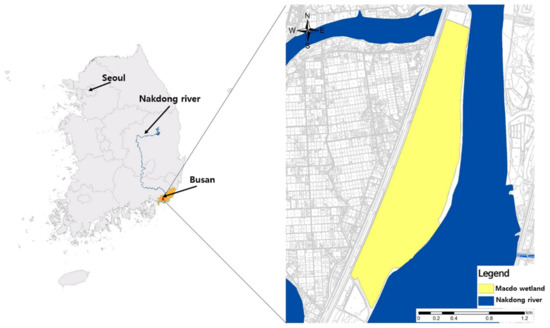 Spatial Movement Patterns and Local Co-Occurrence of Nutria Individuals ...