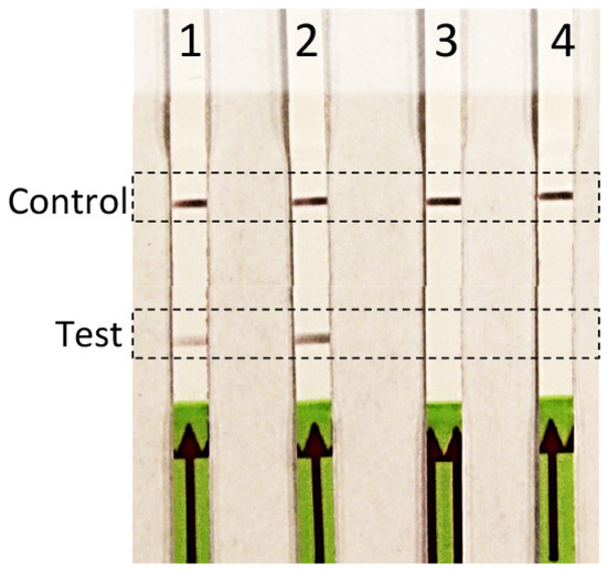 Field-Deployable Recombinase Polymerase Amplification Assay for ...