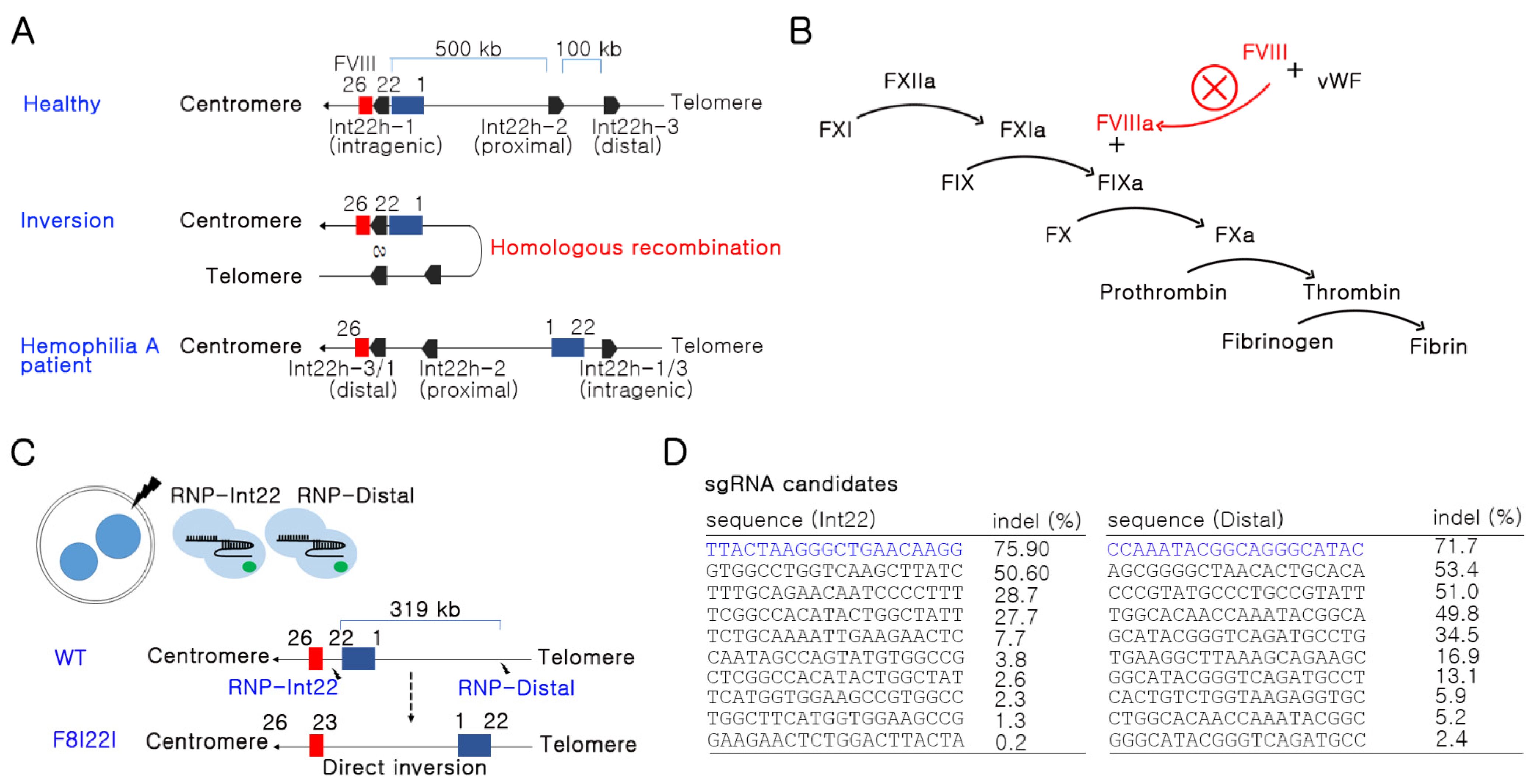 Biology Free Full Text Novel Severe Hemophilia A Mouse Model With
