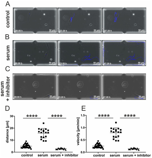 Biology | Editor's choice