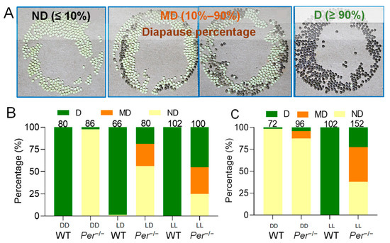 Circadian Clock Gene Period Contributes to Diapause via GABAeric ...