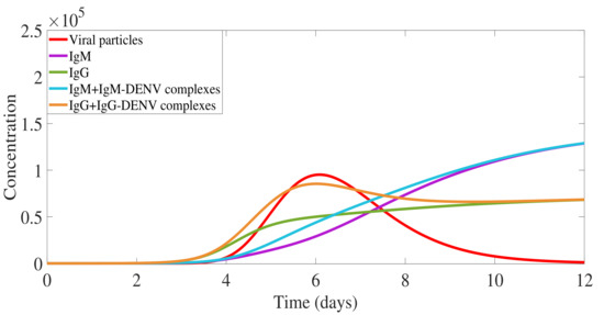Biology | Free Full-Text | Modeling Dengue Immune Responses Mediated by ...