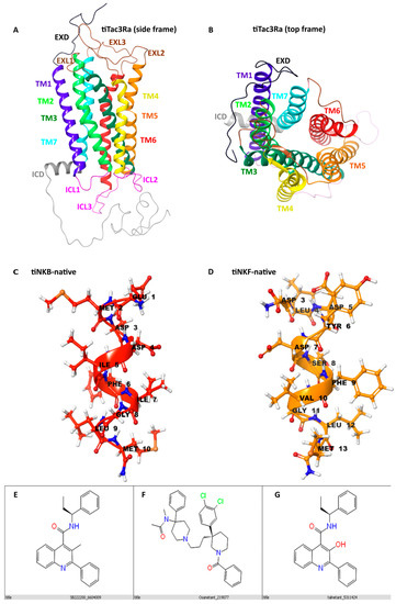Characteristics of Neurokinin-3 Receptor and Its Binding Sites by ...