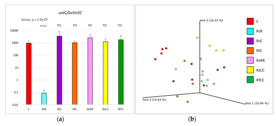Biology | Editor's choice