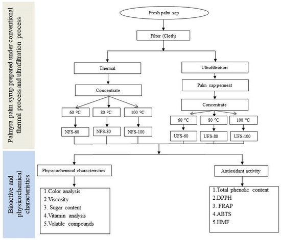 Bioactive and Physicochemical Characteristics of Natural Food: Palmyra ...