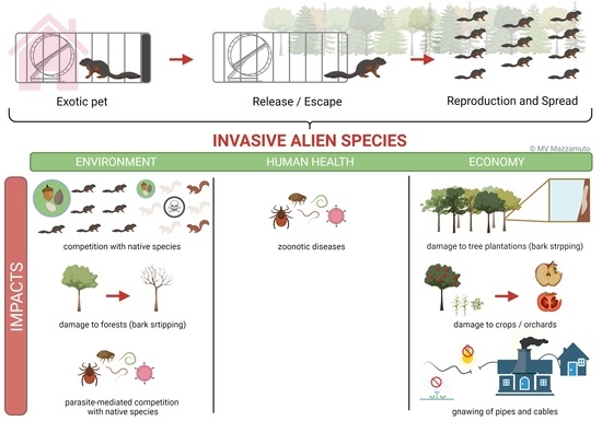 Biology | Special Issue : Biological Invasions: From Prevention and ...