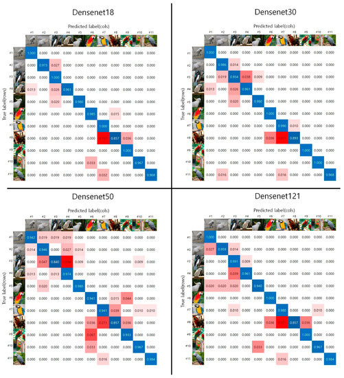Multi-Class Parrot Image Classification Including Subspecies with ...