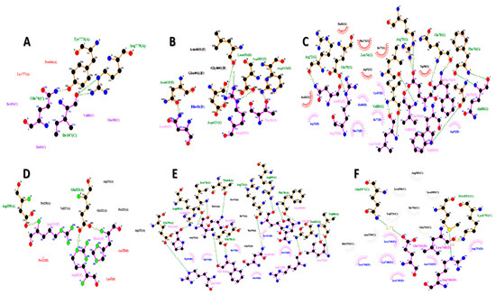 Biology | Free Full-Text | Comparative Genomic Characterization of ...