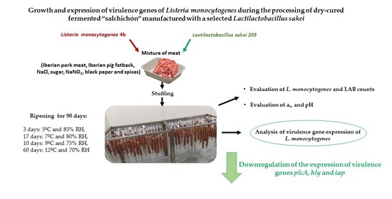 Biology | Special Issue : Microbial Contamination and Food Safety