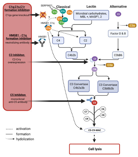 Biology | Special Issue : Glaucoma – Pathophysiology and Therapeutic ...