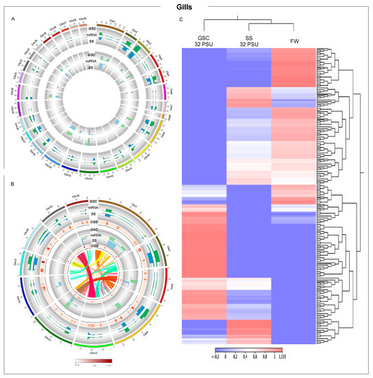 Whole-Genome Transcript Expression Profiling Reveals Novel Insights ...