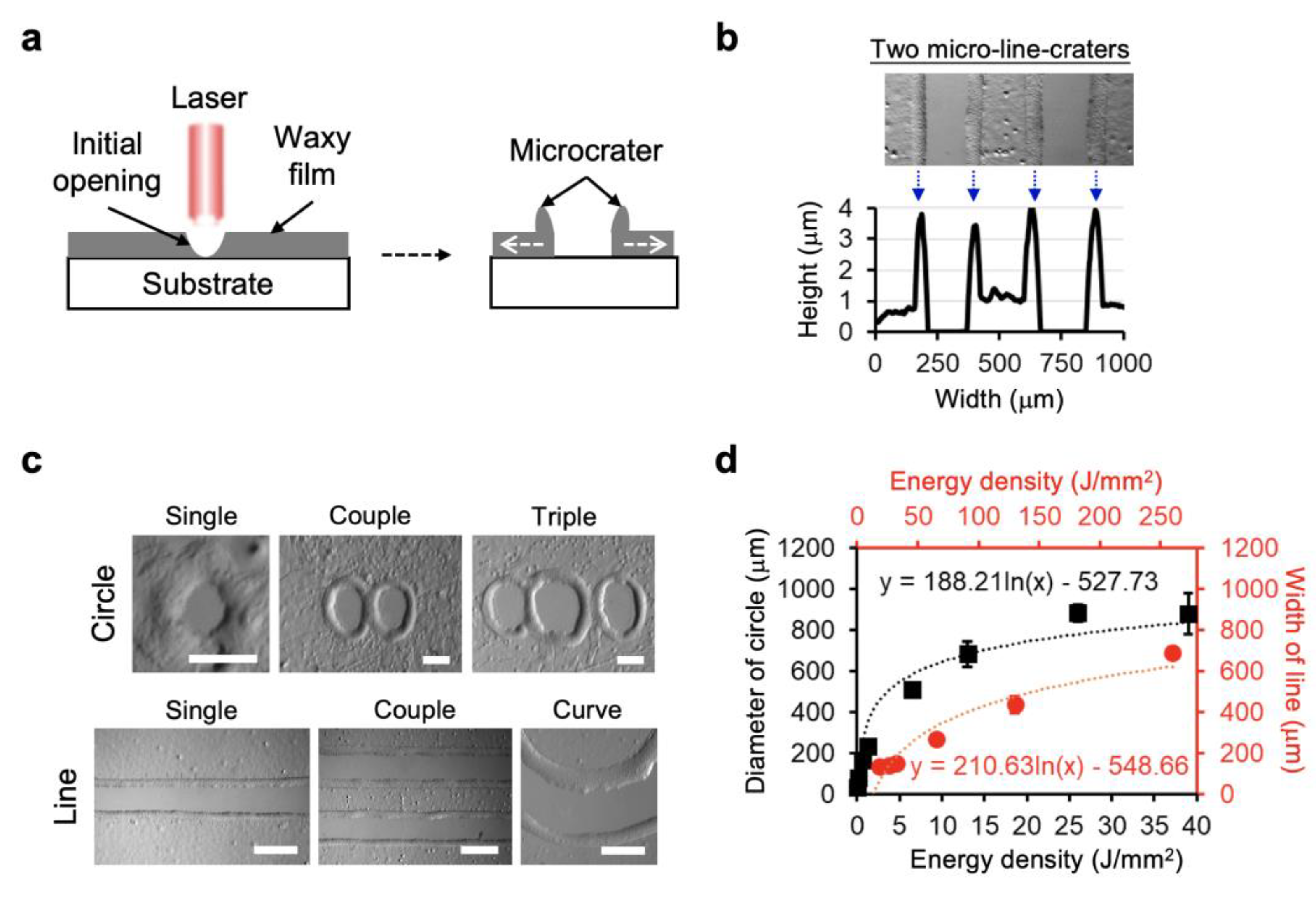 Microcrater-Arrayed Chemiluminescence Cell Chip to Boost Anti-Cancer ...