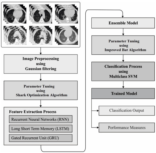 Biology | Free Full-Text | Deep Ensemble Model for COVID-19 Diagnosis ...