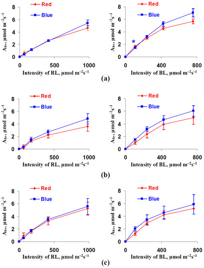 Ratio of Intensities of Blue and Red Light at Cultivation Influences ...