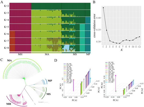 Population Genomics of Megalobrama Provides Insights into Evolutionary ...
