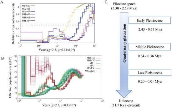 Population Genomics of Megalobrama Provides Insights into Evolutionary ...