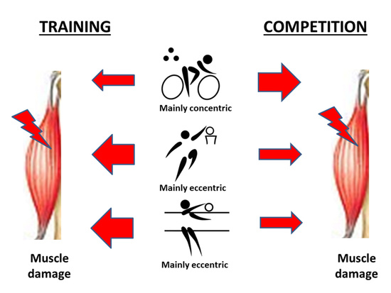 Biology | Free Full-Text | Effects of Eccentric vs. Concentric Sports ...