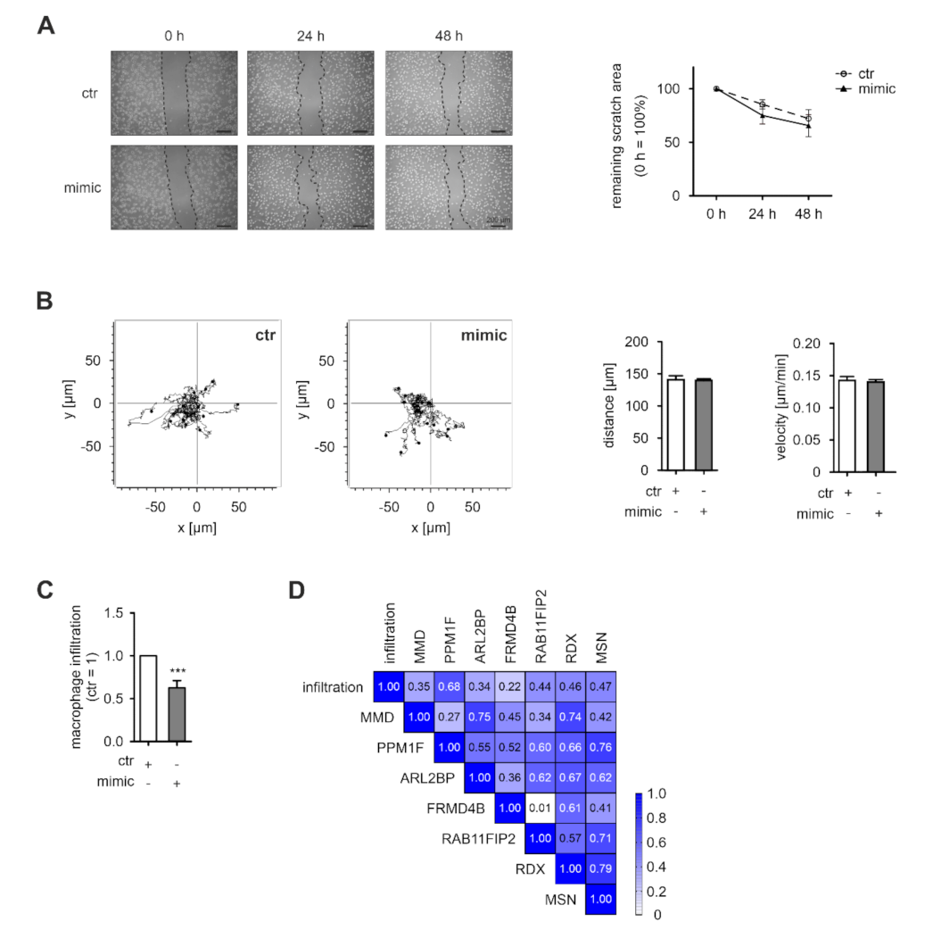 MicroRNA-200c Attenuates the Tumor-Infiltrating Capacity of Macrophages