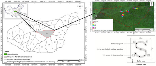 Responses of Fine Roots at Different Soil Depths to Different Thinning ...