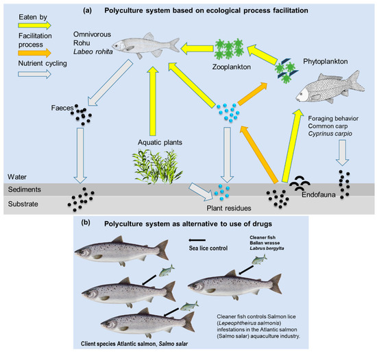 RETRACTED: Advantage of Species Diversification to Facilitate ...