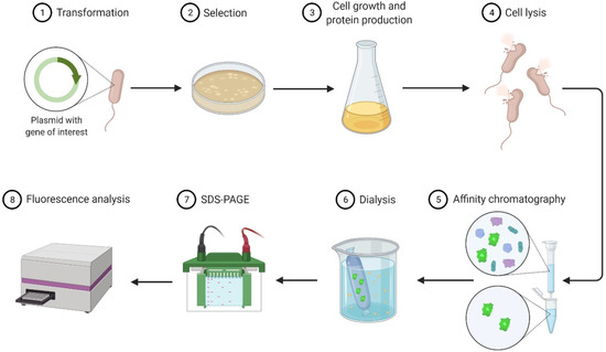 Implementation of a Practical Teaching Course on Protein Engineering