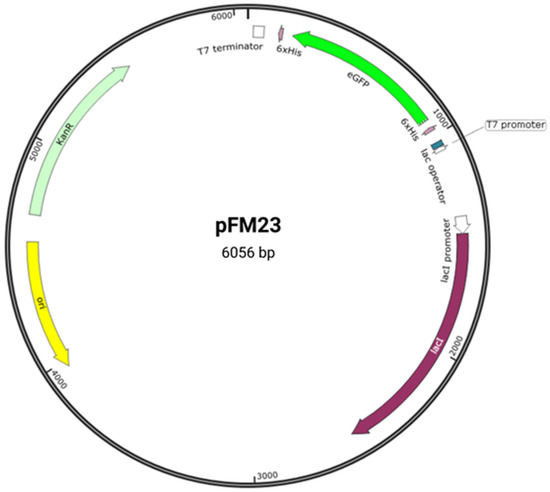 Implementation of a Practical Teaching Course on Protein Engineering