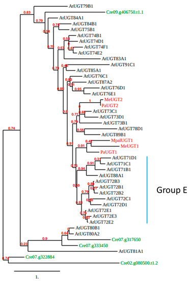 UGT72, a Major Glycosyltransferase Family for Flavonoid and Monolignol ...