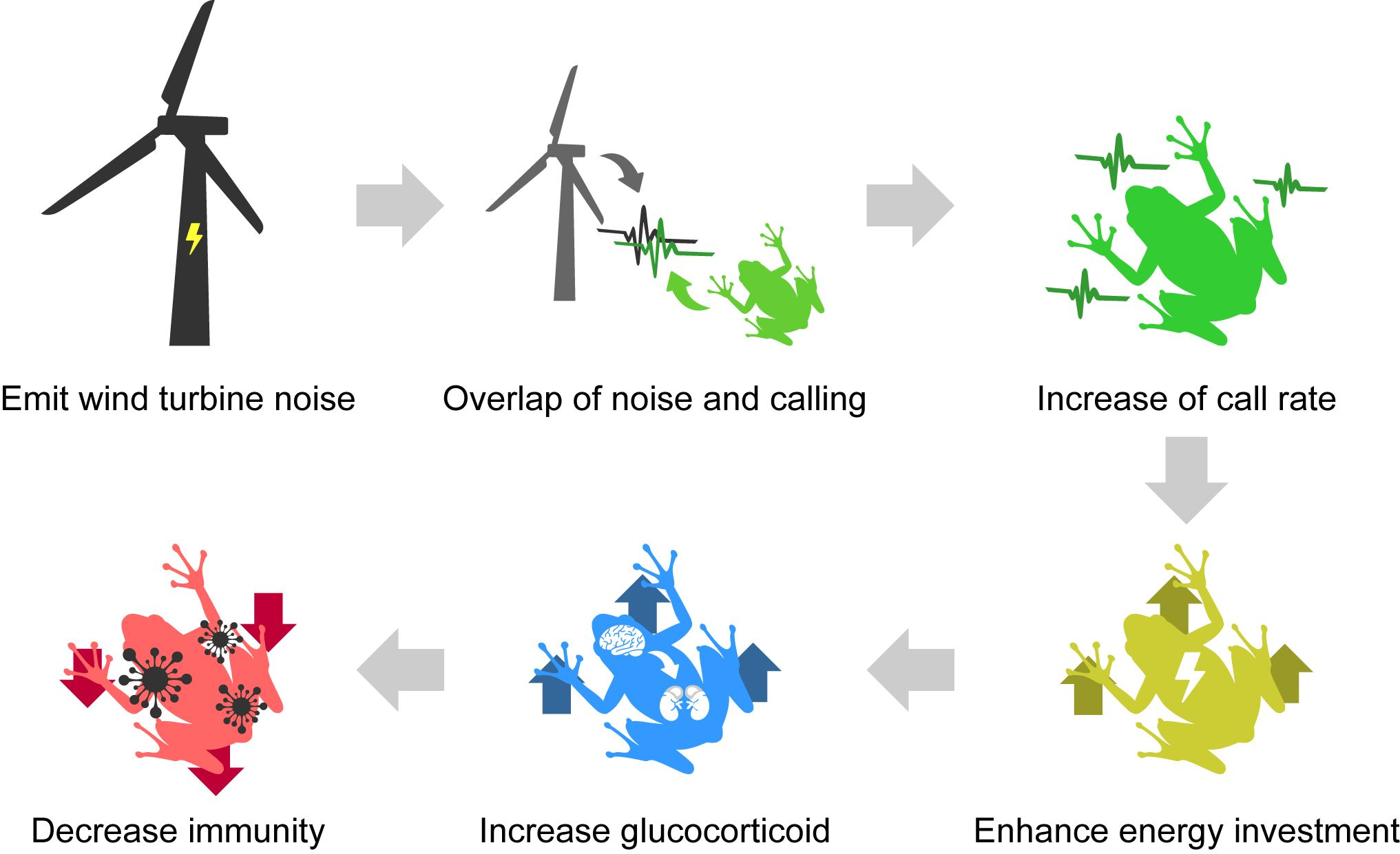 Biology | Free Full-Text | Wind Turbine Noise Behaviorally and ...