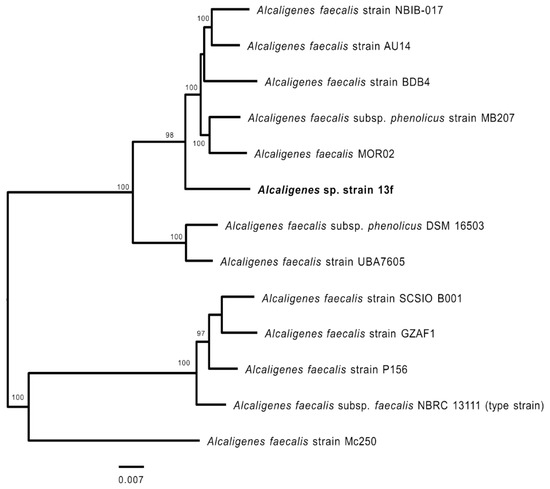 Genome Characterisation of an Isoprene-Degrading Alcaligenes sp ...