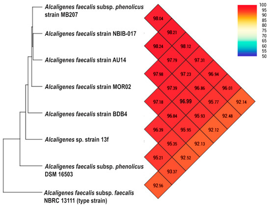Genome Characterisation of an Isoprene-Degrading Alcaligenes sp ...