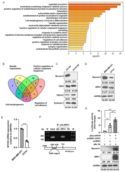 Biology | An Open Access Journal from MDPI