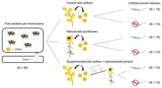Biology | An Open Access Journal from MDPI