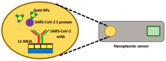 Plasmonic Biosensors: Review