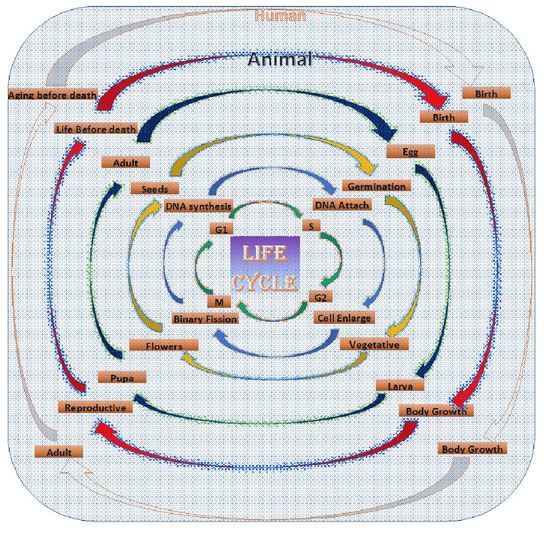 Biology | Free Full-Text | Healthy Long-Lived Human Beings—Working on ...