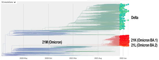 An Insight Based on Computational Analysis of the Interaction between ...
