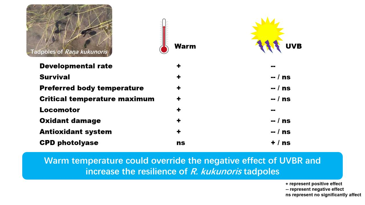 Biology | Free Full-Text | Does a Moderately Warming Climate Compensate ...