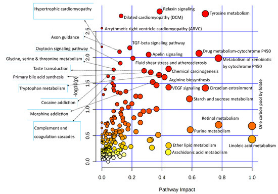 Joint Transcriptome and Metabolome Analysis Prevails the Biological ...