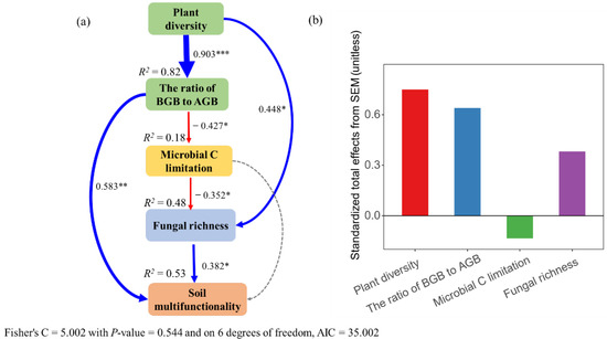 Plant Diversity and Fungal Richness Regulate the Changes in Soil ...