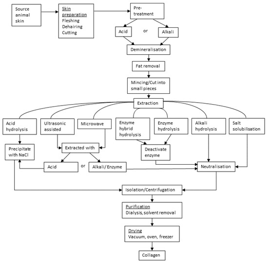 Collagen Extraction from Animal Skin