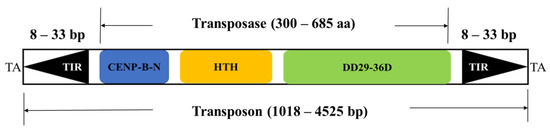 Revisiting the Tigger Transposon Evolution Revealing Extensive ...