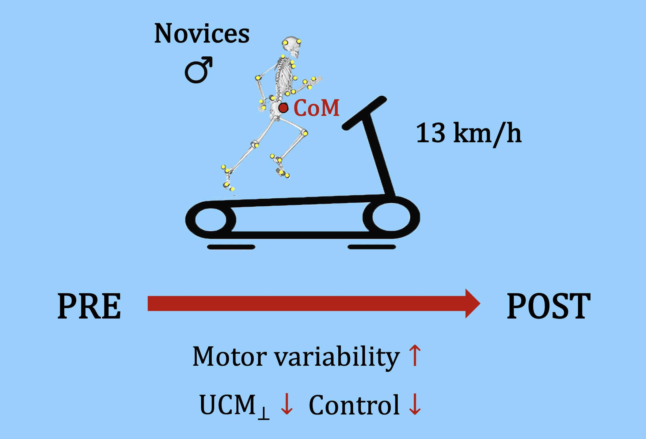 Biology | Free Full-Text | Running-Induced Fatigue Changes the ...
