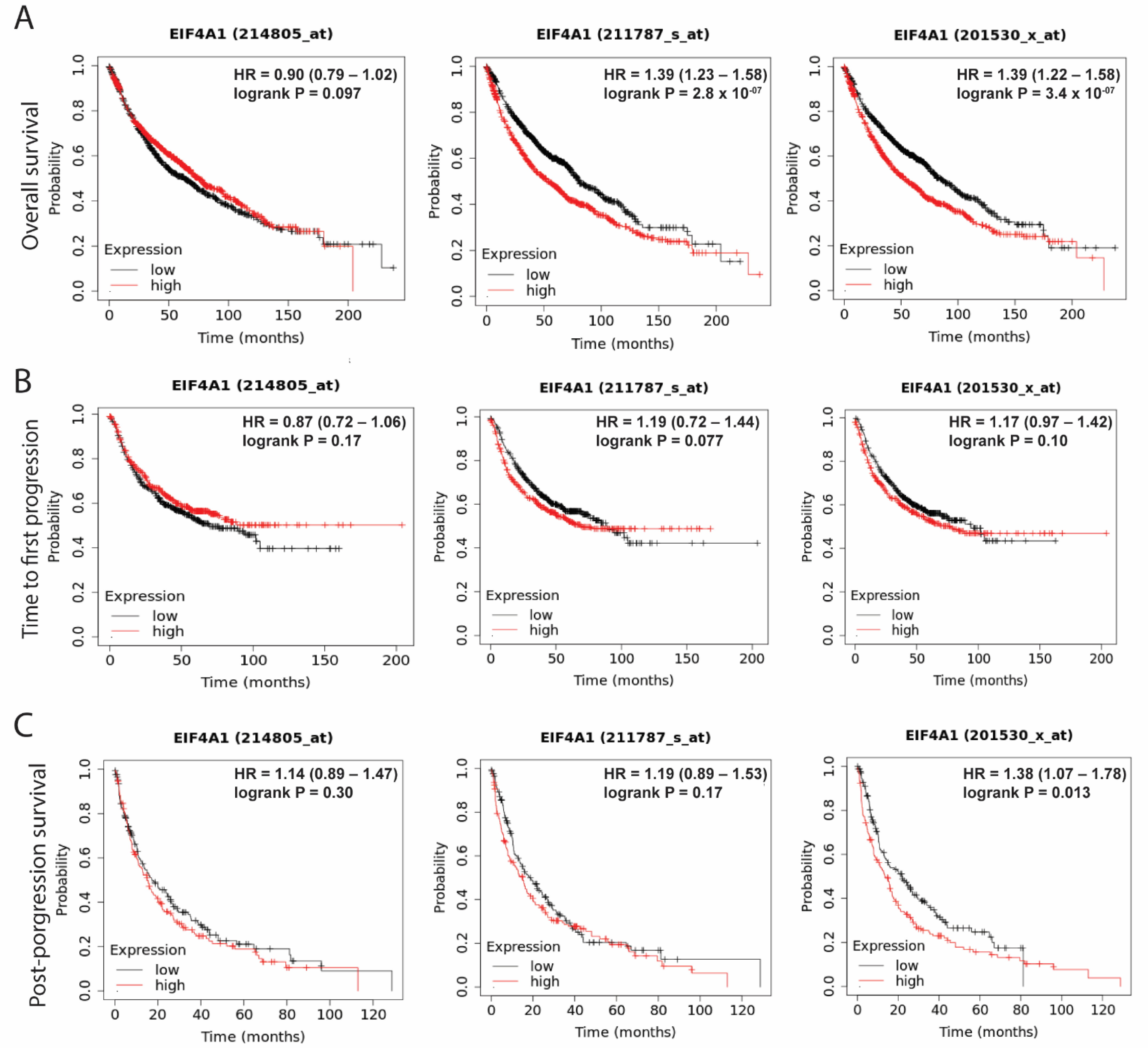 Characterization of the Oncogenic Potential of Eukaryotic Initiation ...