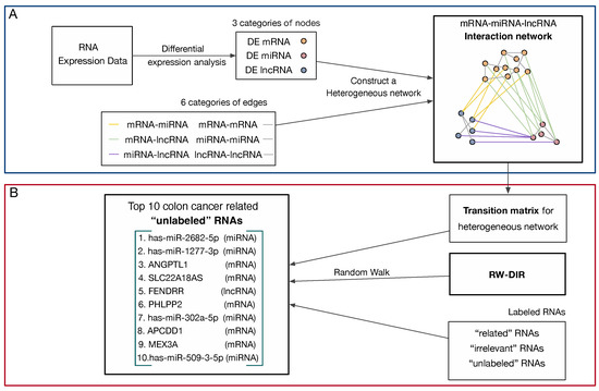 Identification of Colon Cancer-Related RNAs Based on Heterogeneous Networks and Random Walk