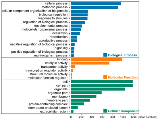 Biology | Free Full-Text | Phylogenomics Resolves the Phylogeny of ...
