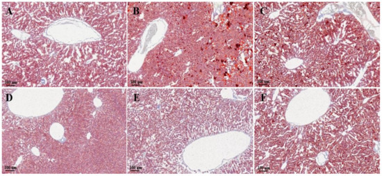 Potential Effect of Enzymatic Porcine Placental Hydrolysate (EPPH) to ...