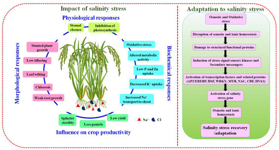 Biology | Free Full-Text | Multi-Omics and Integrative Approach towards ...