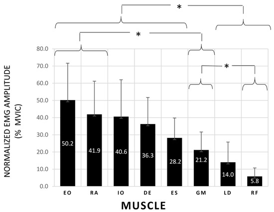 Is the Side Bridge Test Valid and Reliable for Assessing Trunk Lateral ...