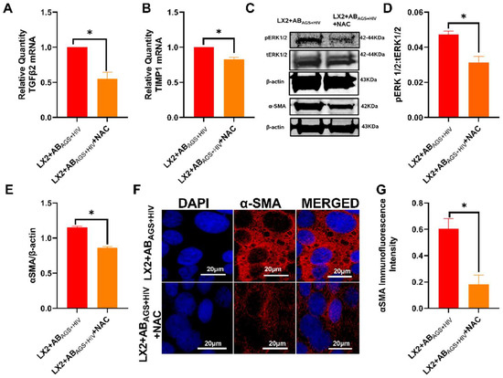 Biology | An Open Access Journal from MDPI