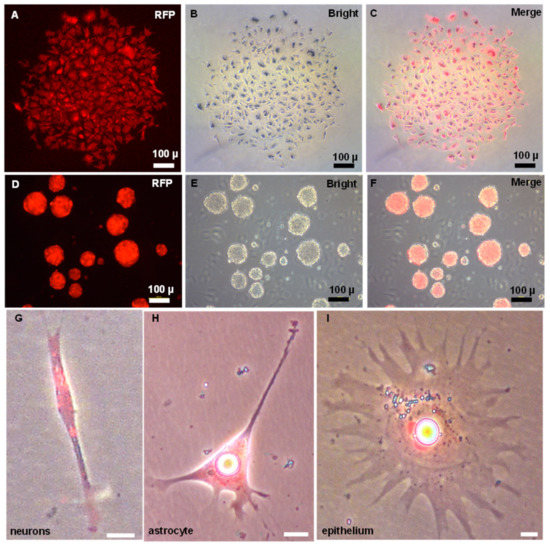 Biology | An Open Access Journal from MDPI