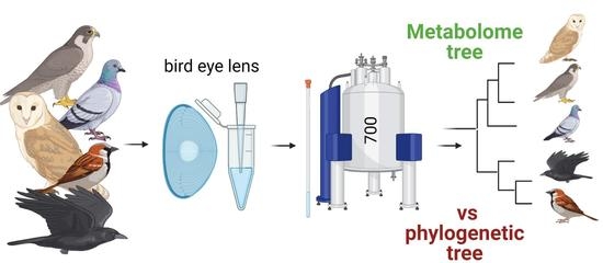 Biology | An Open Access Journal from MDPI